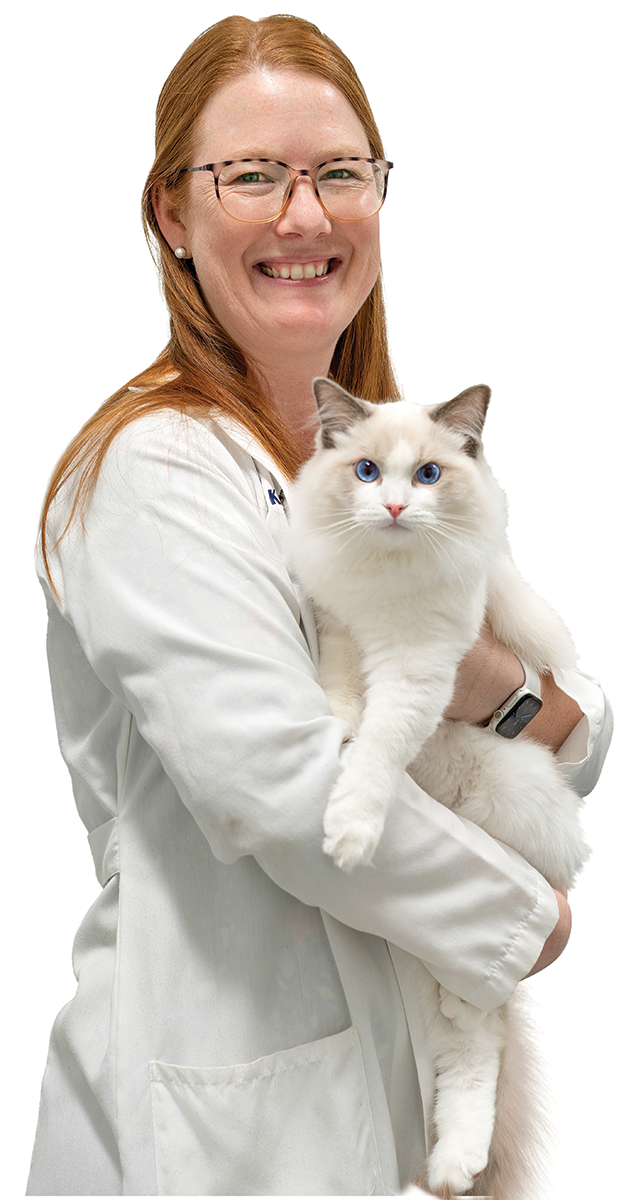 Envisioning the Future | Synergy Magazine / School of Veterinary ...